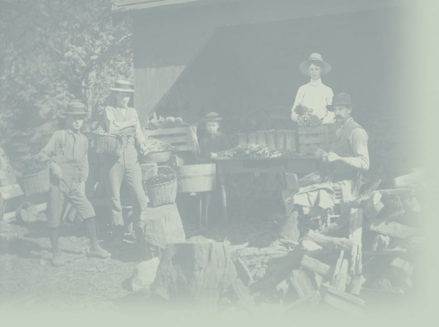 Historical Society of Princeton